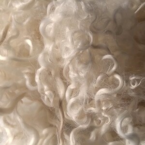 Wool 1 Oz Natural Washed Curly Wool for Santa Beards | Etsy