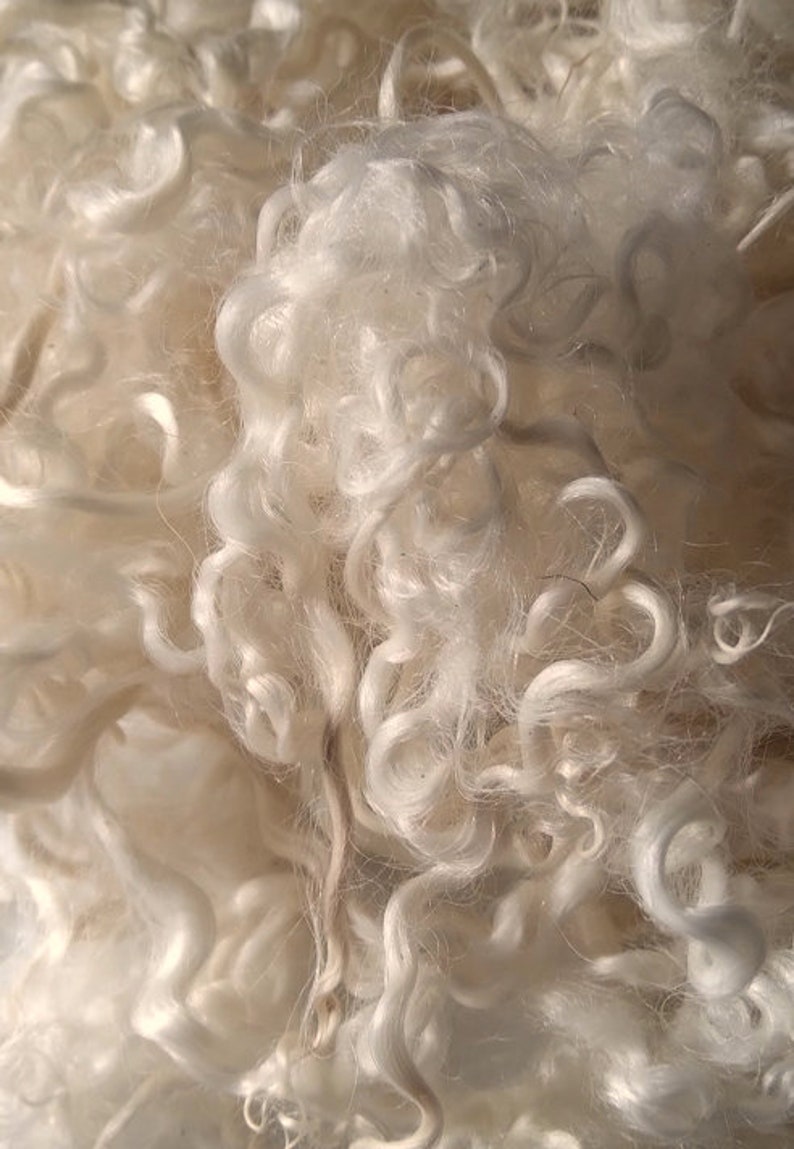 Wool 1 Oz Natural Washed Curly Wool for Santa Beards | Etsy