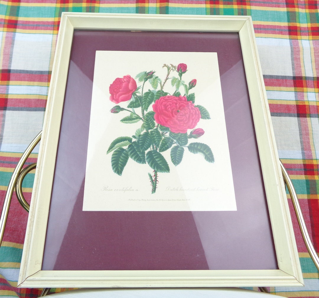 Art Collectible Queen Anne Medium Picture Frame Wall Hang 40s 50s WW2 ...