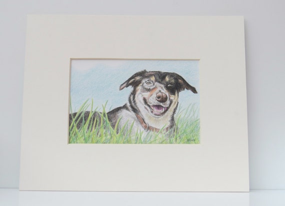 Collie Cross Dog Portrait Original Painting Pencil Happy Pet | Etsy