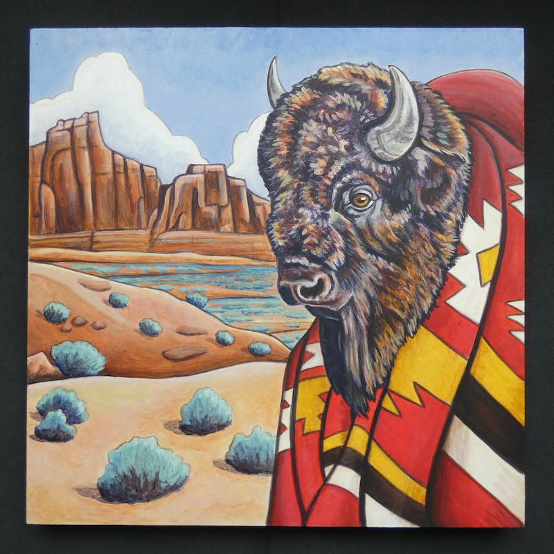 Buffalo Robe - Etsy