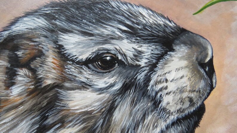 Yellow-bellied Marmot Original Acrylic Painting: Yellowstone Wildlife ...
