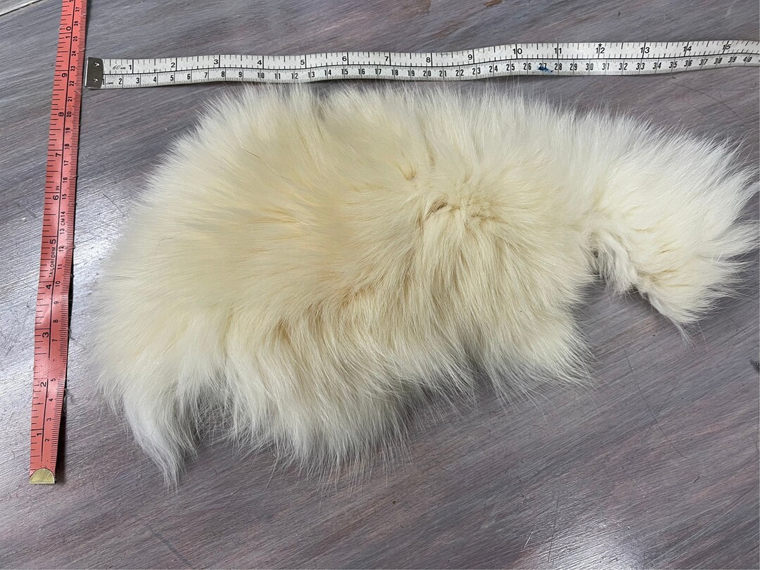 Arctic Fox Fur Skin Piece Pelt Craft Scarf Winter Accessory 23-02 - Etsy