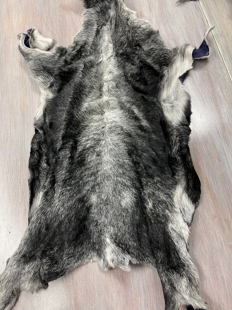 21’’ Gray Swakara Broadtail Lamb Fur Skin Pelt Craft Scarf Winter ...