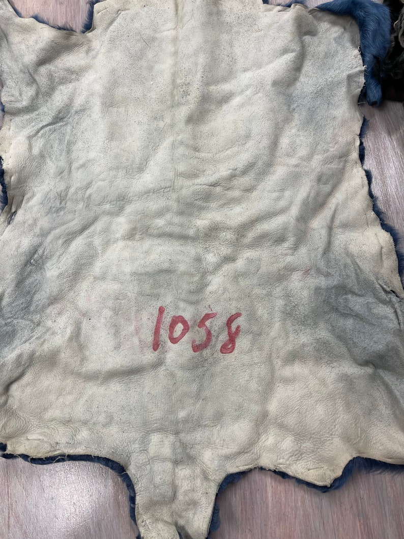 20 Royal Blue Swakara Broadtail Lamb Fur Skin Pelt Craft - Etsy