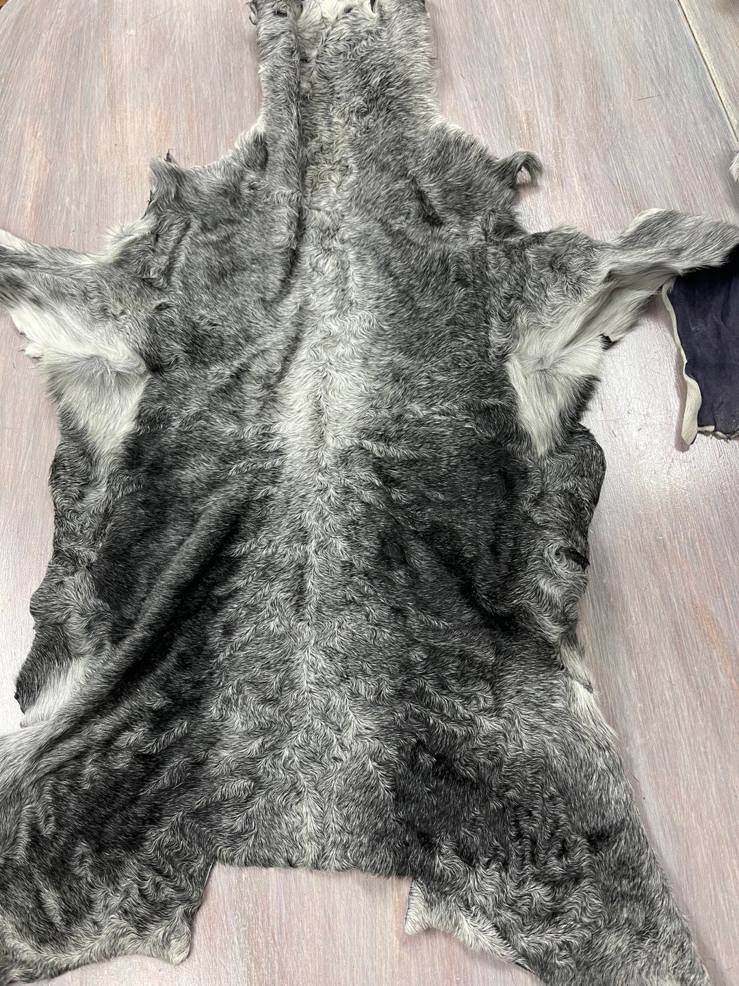 21’’ Gray Swakara Broadtail Lamb Fur Skin Pelt Craft Scarf Winter ...