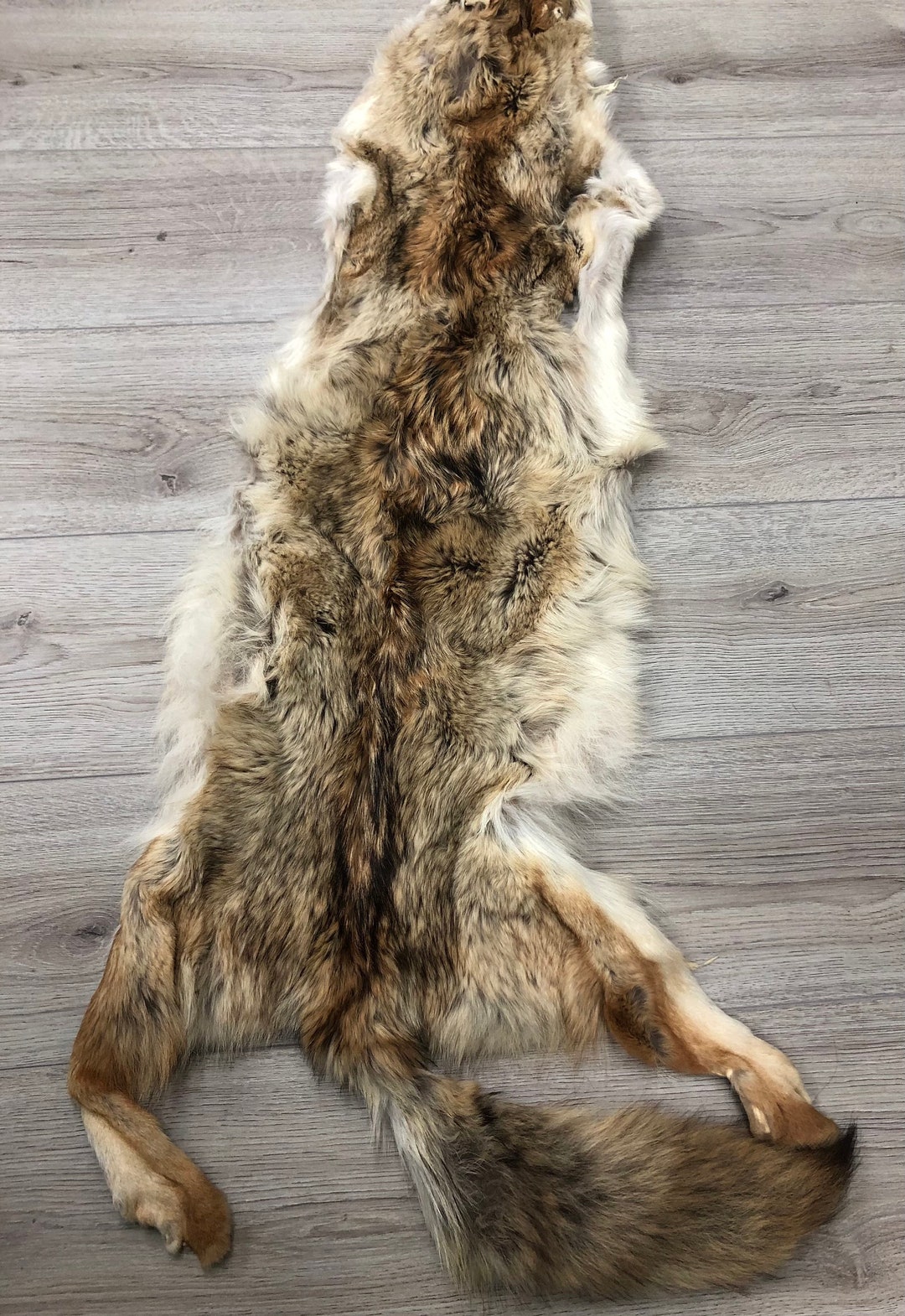 44’’ Natural Coyote Fur Pelt Skin Tail Craft Winter Accessory - Etsy