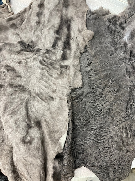 22 Brown Swakara Broadtail Lamb Fur Skin Pelt Craft Scarf - Etsy