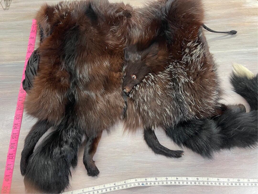 Huge Silver Fox Fur Muff Handwarmer Winter Accessory Face Tail 2 Full ...