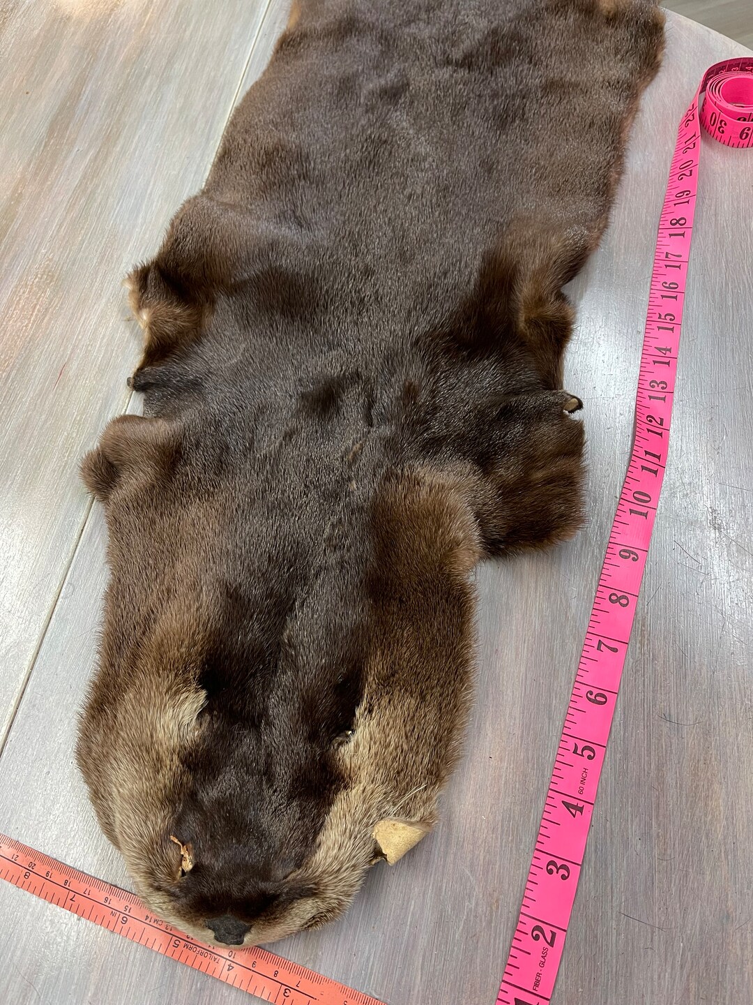 Brown River Otter Fur Skin Pelt Craft Scarf Winter Accessory Tail B-22 ...