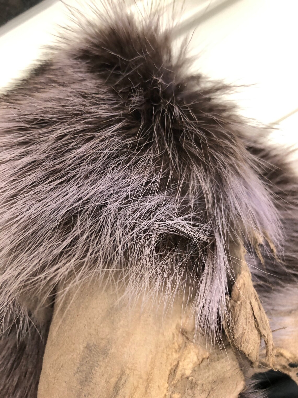 22x12’’ Lavender Dyed Raccoon Raccon Fur Skin Craft Scarf Winter ...