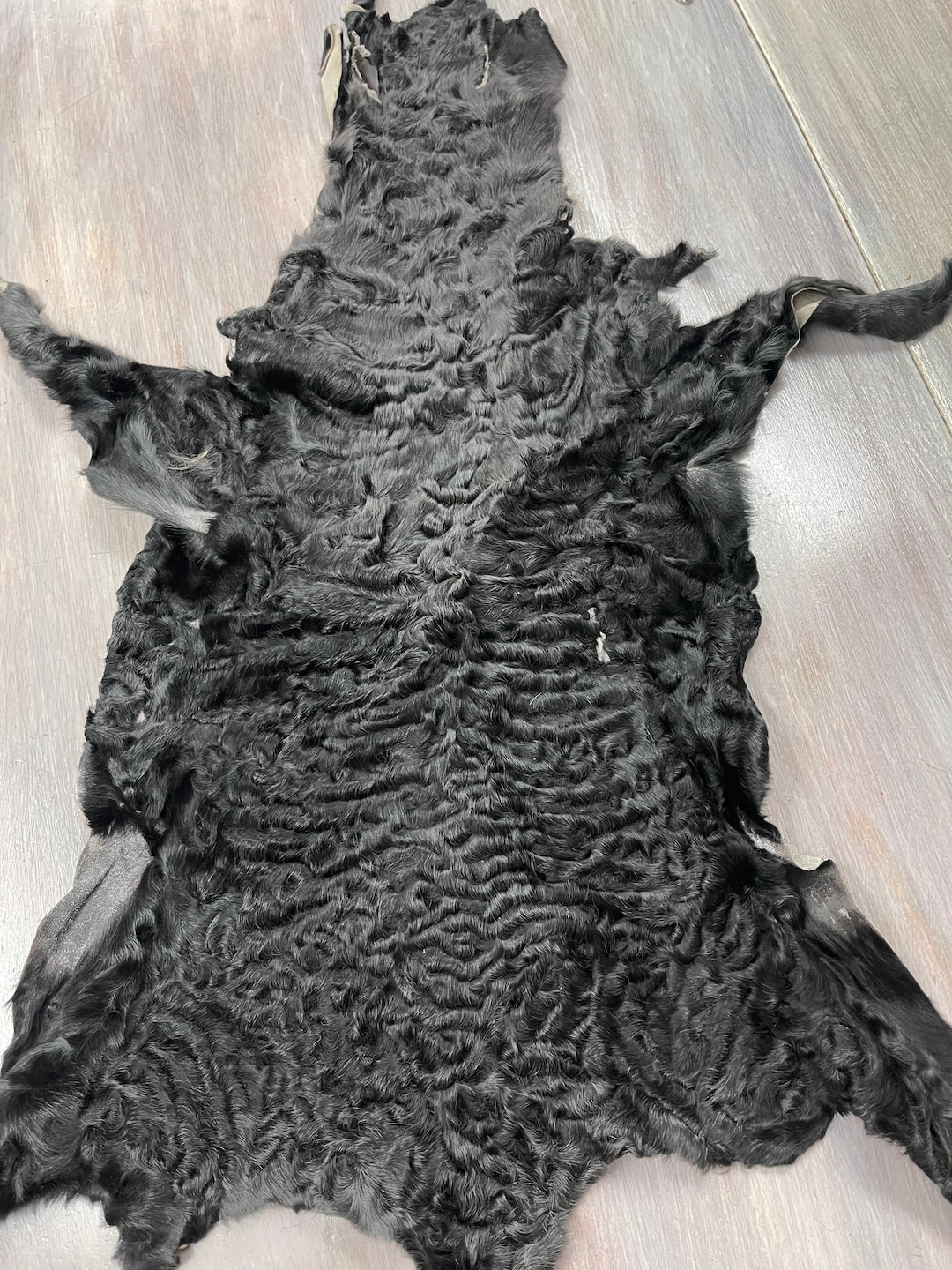 21’’ Black Swakara Broadtail Lamb Fur Skin Pelt Craft Scarf Winter ...