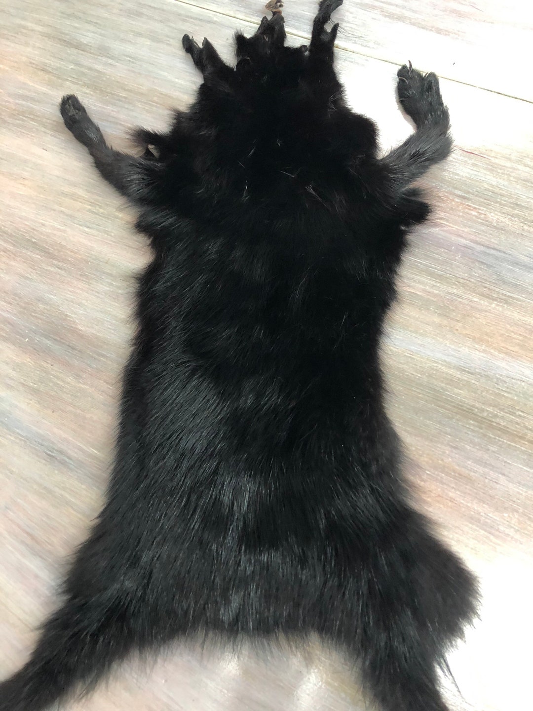 16’’ Dyed Black Russian Sable Fur Skin Pelt Craft Scarf Winter ...