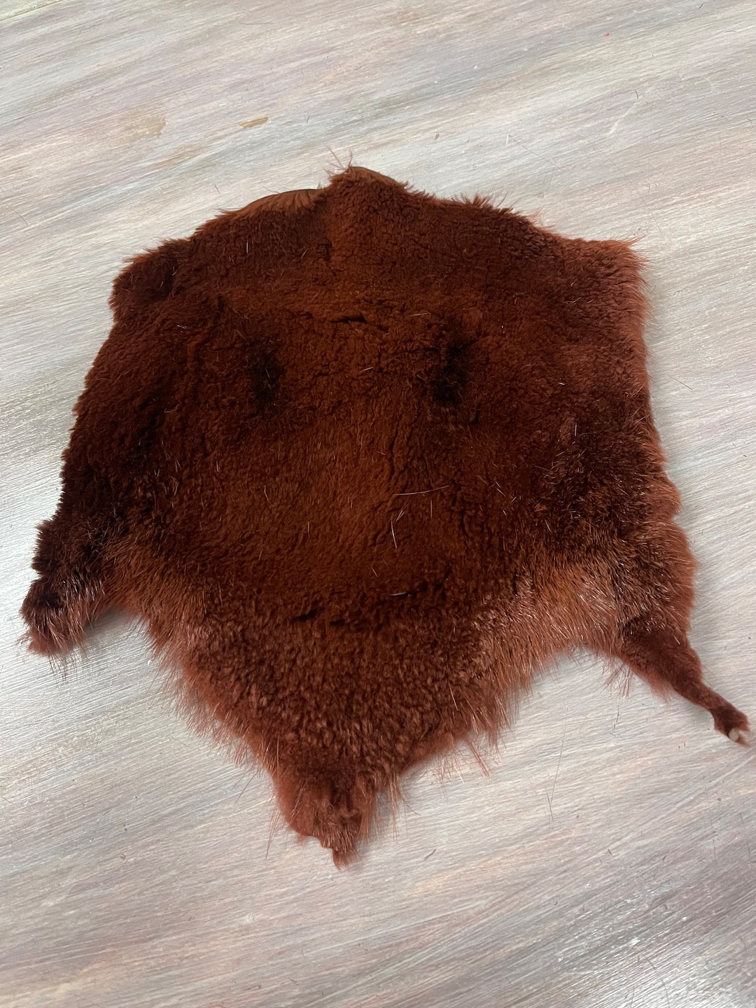 8’’ Brown Sheared Muskrat Fur Skin Pelt Craft Scarf Winter Accessory - Etsy