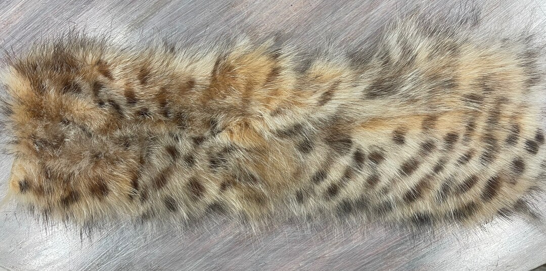 14’’ Genuine Spotted Fox Fur Skin Piece Craft N.3 - Etsy