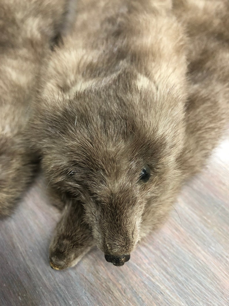 17'' Gray Lutetia Mink Fur Skin Pelt Head Tail - Etsy