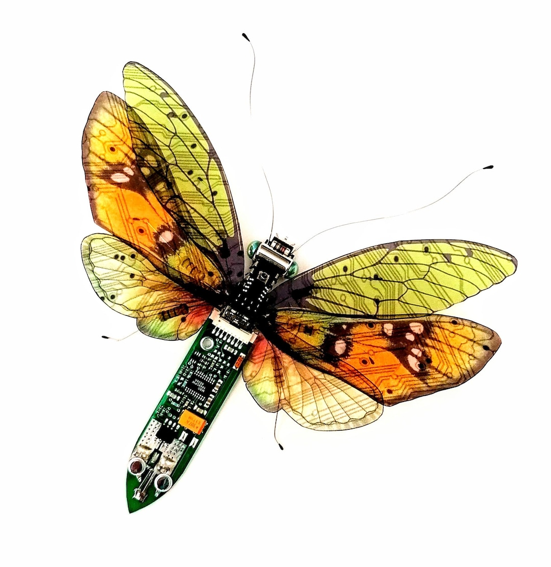 The Hedgerow Forester, Fantasy Circuit Board Insect by Julie Alice ...