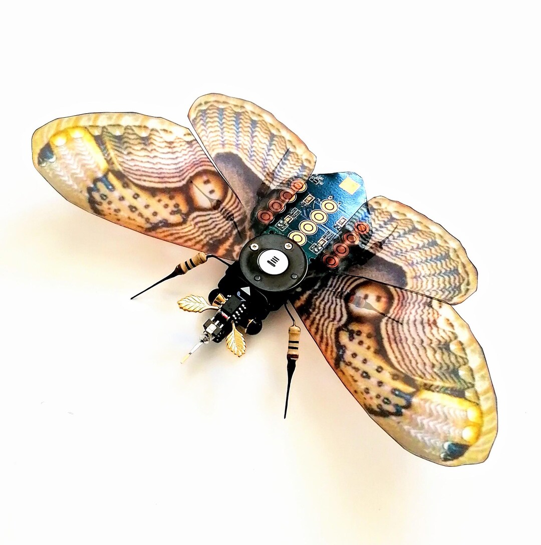 The Giant, Golden Spotted Japanese Owl Moth, Circuit Board Insect by ...