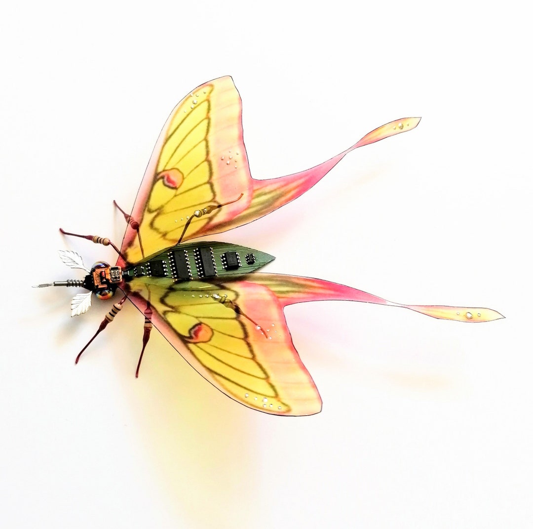 The Ethereal Luna Moth, Circuit Board Insect by Julie Alice Chappell - Etsy
