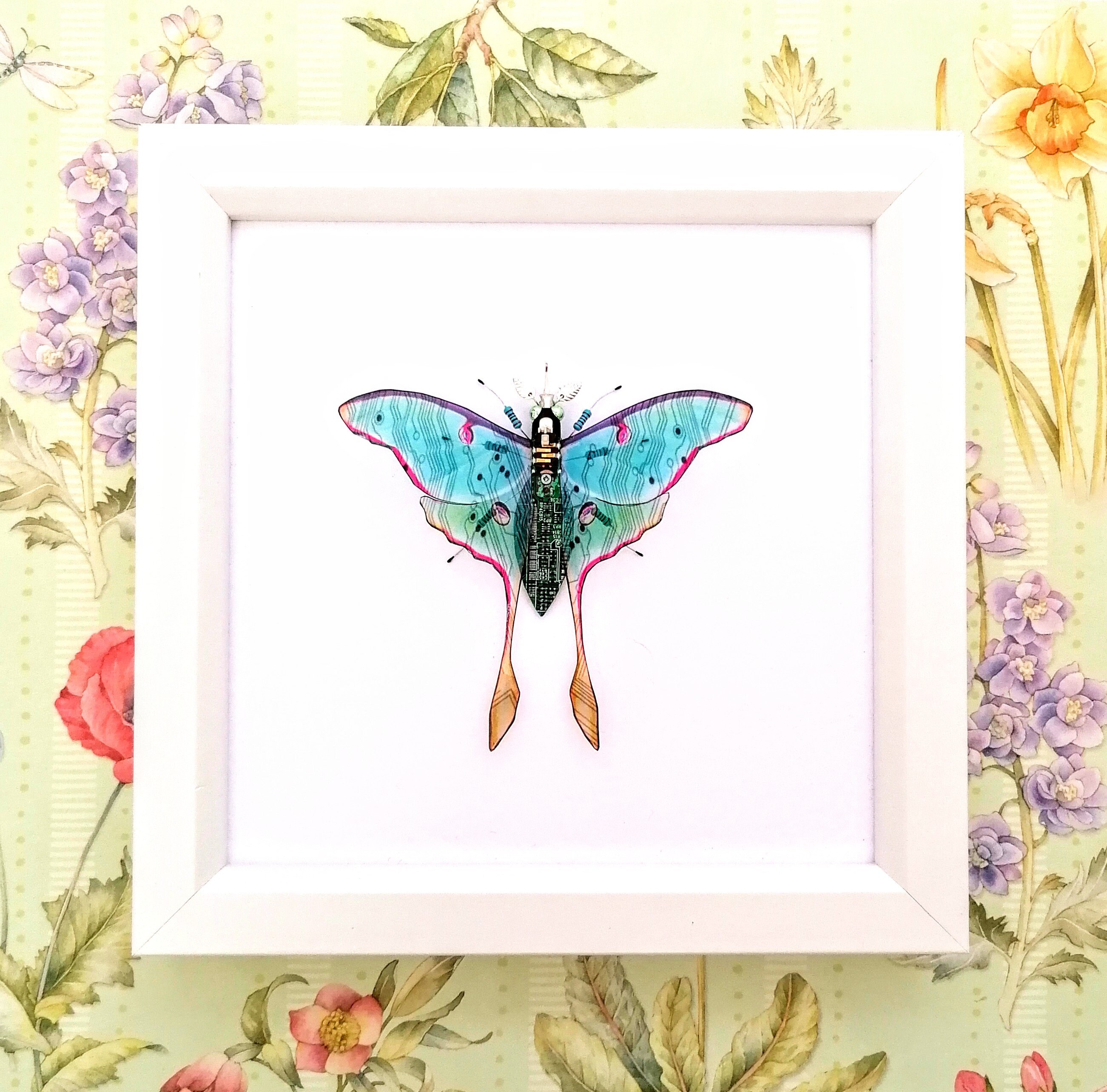 The Japanese Luna Moth, Circuit Boardinsect by Julie Alice Chappell - Etsy