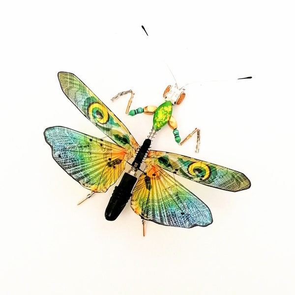 Julie Alice Chappell - Etsy