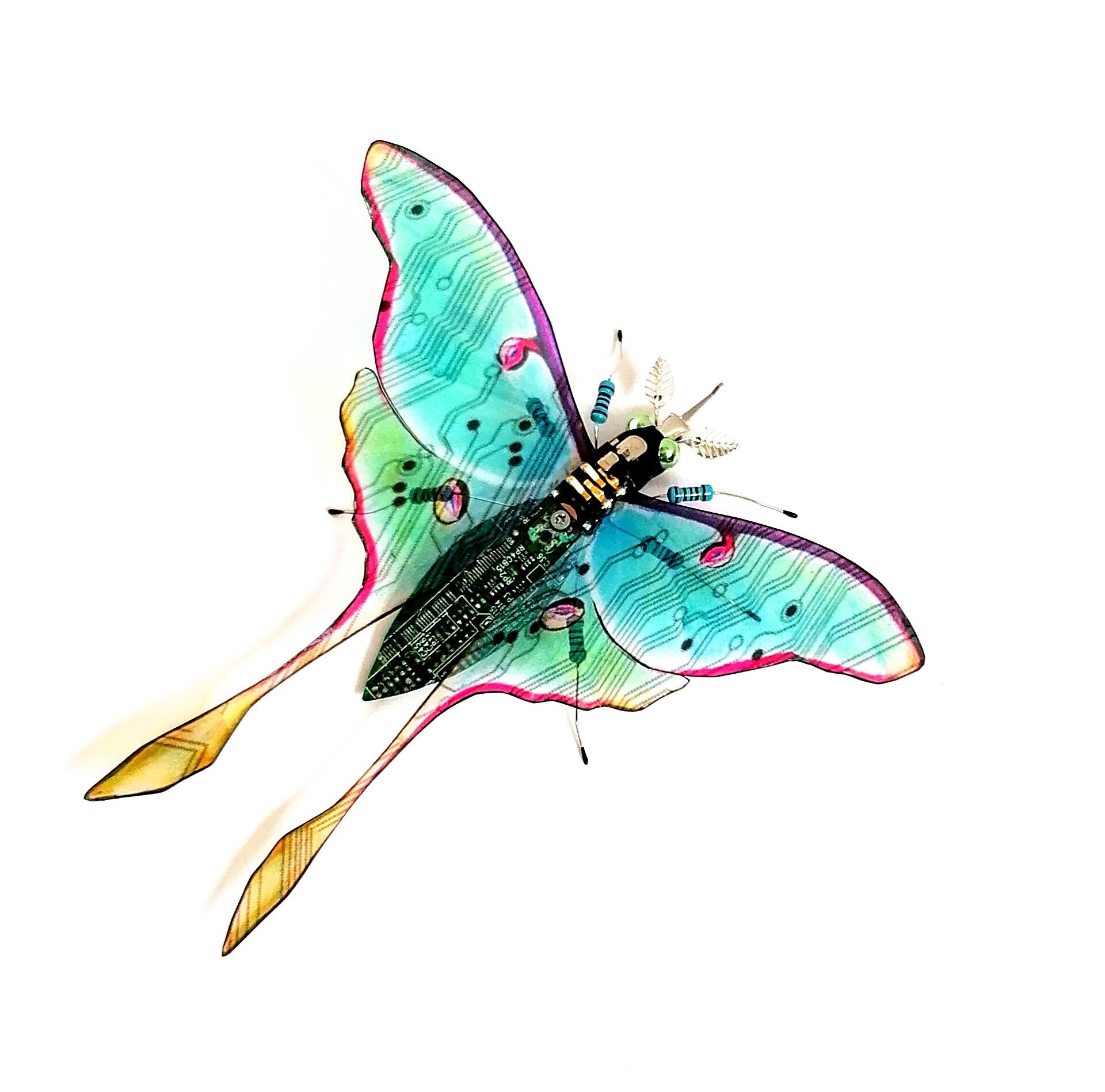 The Japanese Luna Moth, Circuit Boardinsect by Julie Alice Chappell - Etsy