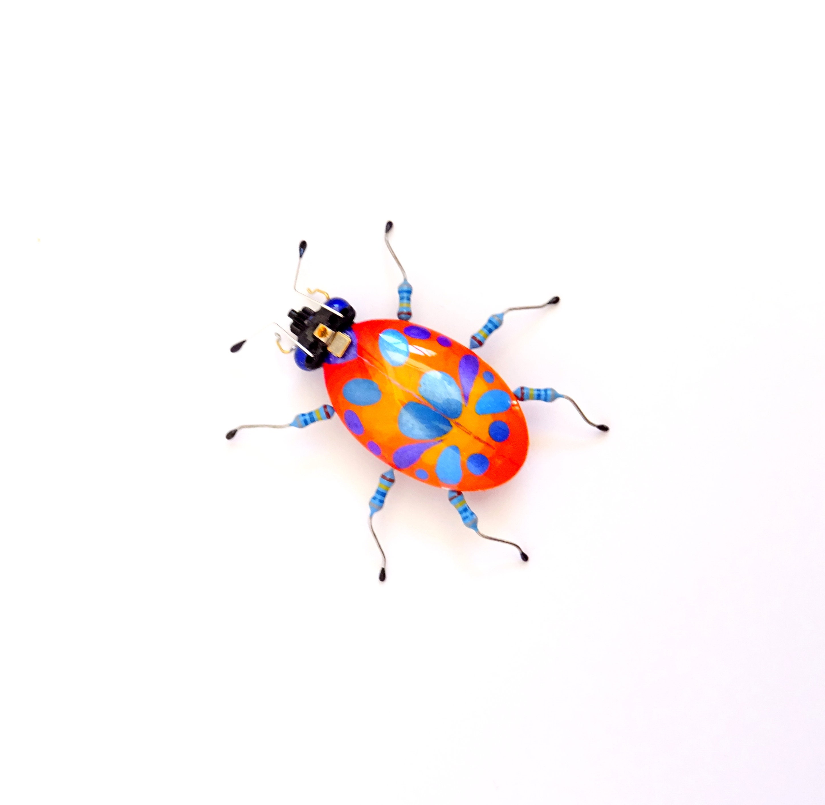 Colorful Spotted Beetle