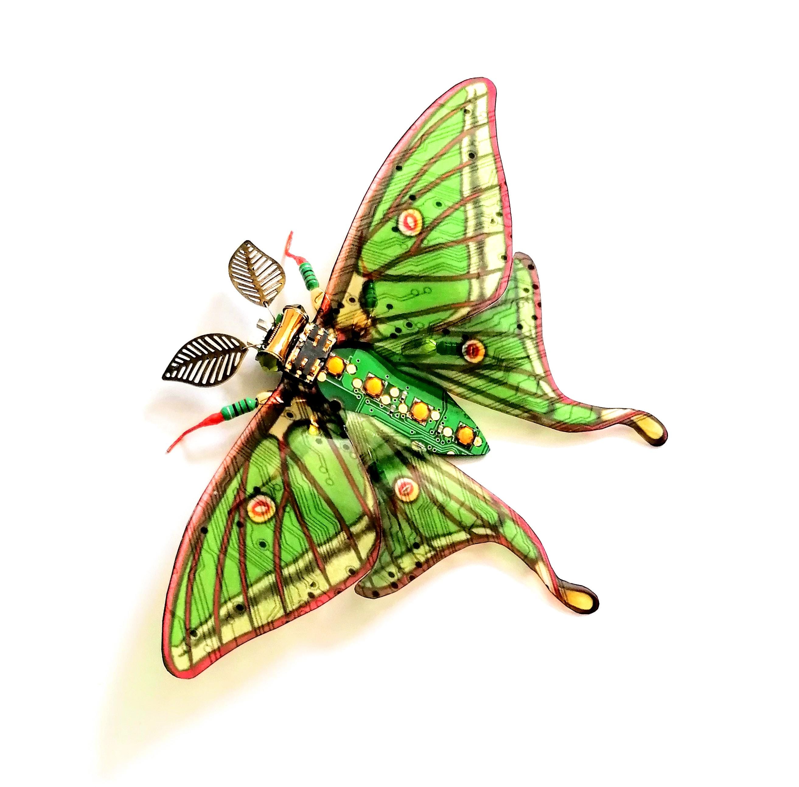 The Golden Spotted, Spanish Luna Moth, Circuit Board Insect by Julie ...