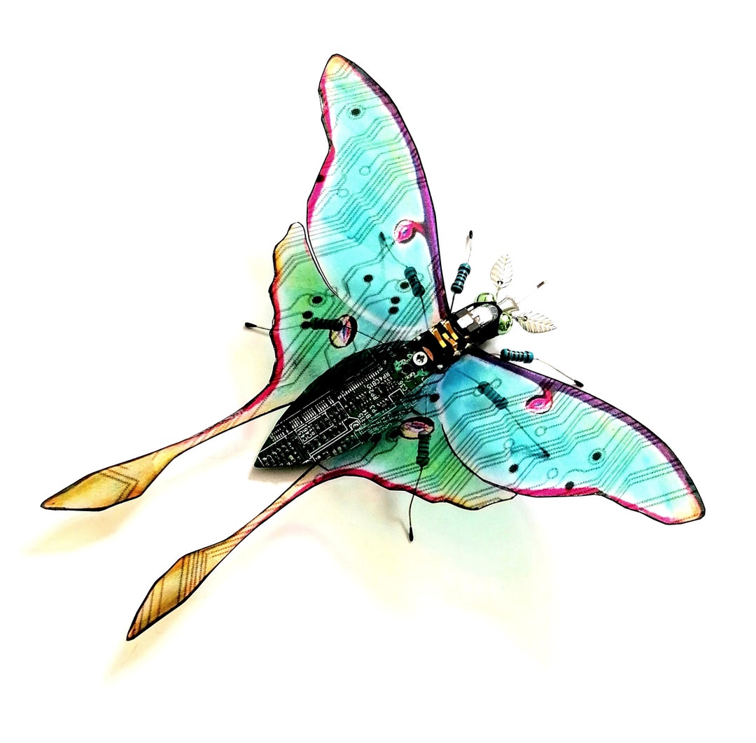 The Japanese Luna Moth, Circuit Boardinsect by Julie Alice Chappell - Etsy