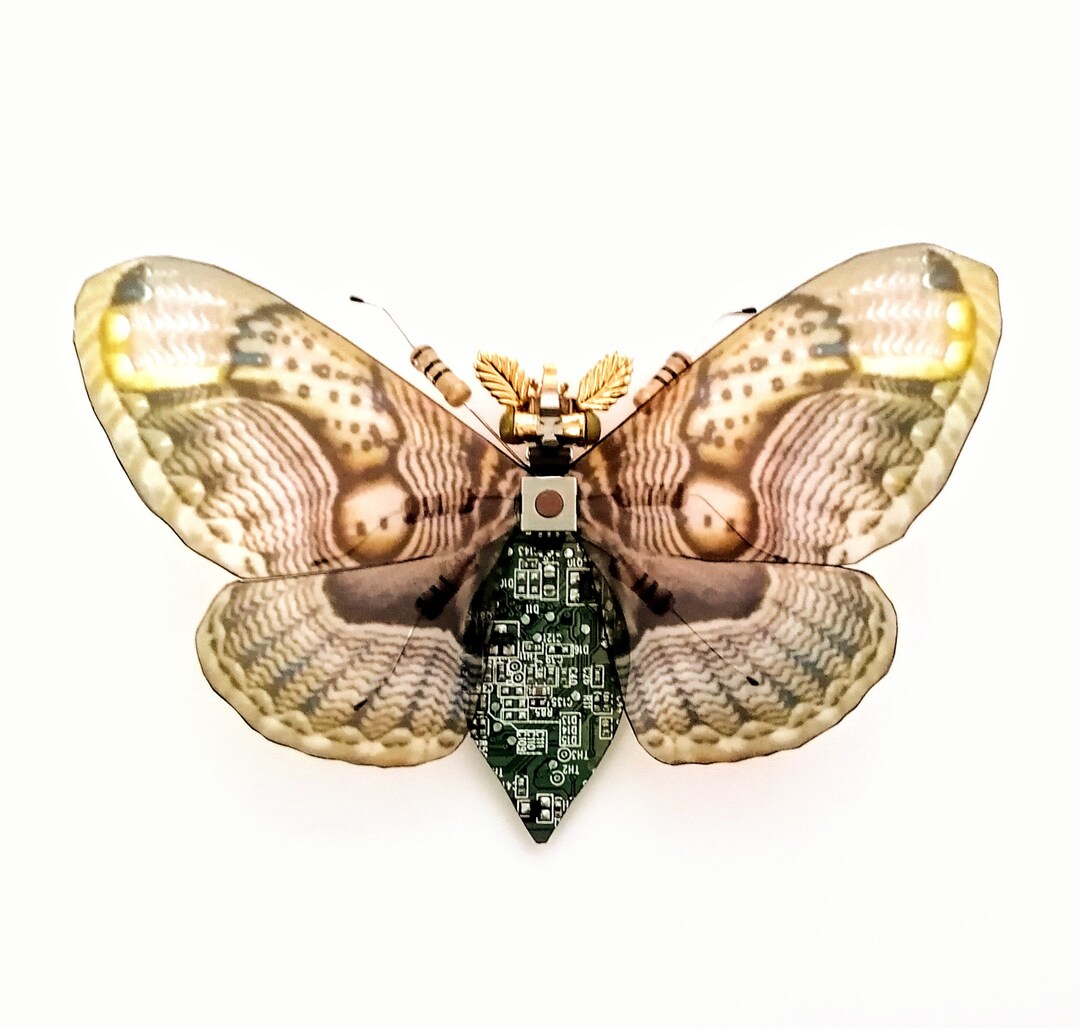 The Japanese Owl Moth, Circuit Board Insect by Julie Alice Chappell ...