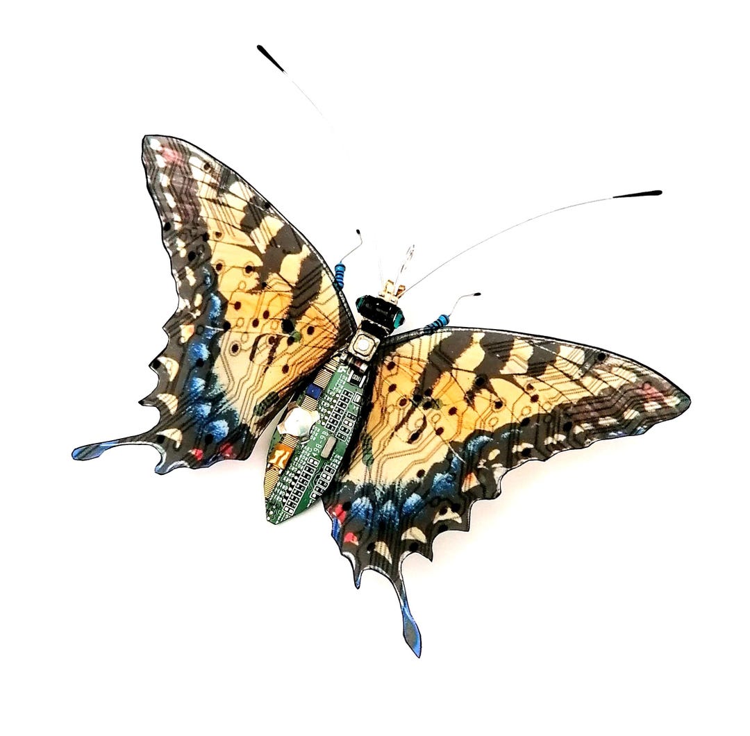 The Small Norfolk Swallowtail Butterfly, Fantasy Circuit Board Insect ...