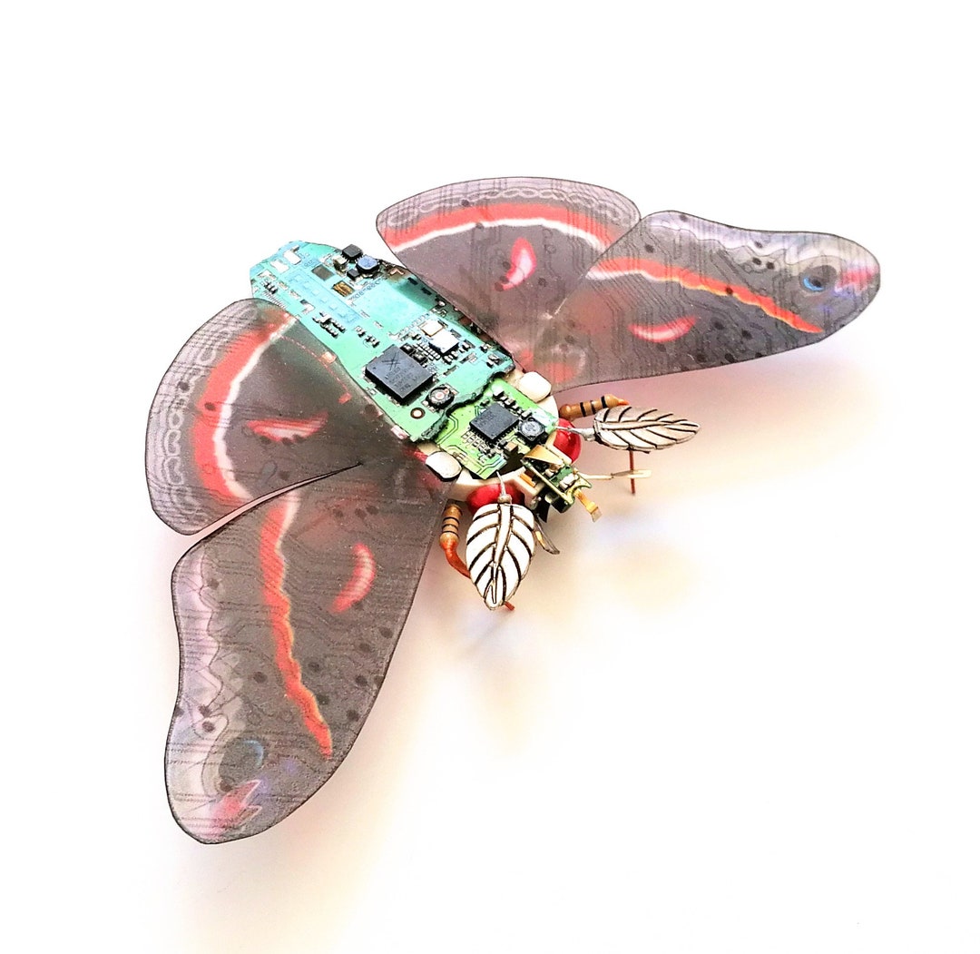 Cecropia Moth, Circuit Board Insect by Julie Alice Chappell - Etsy