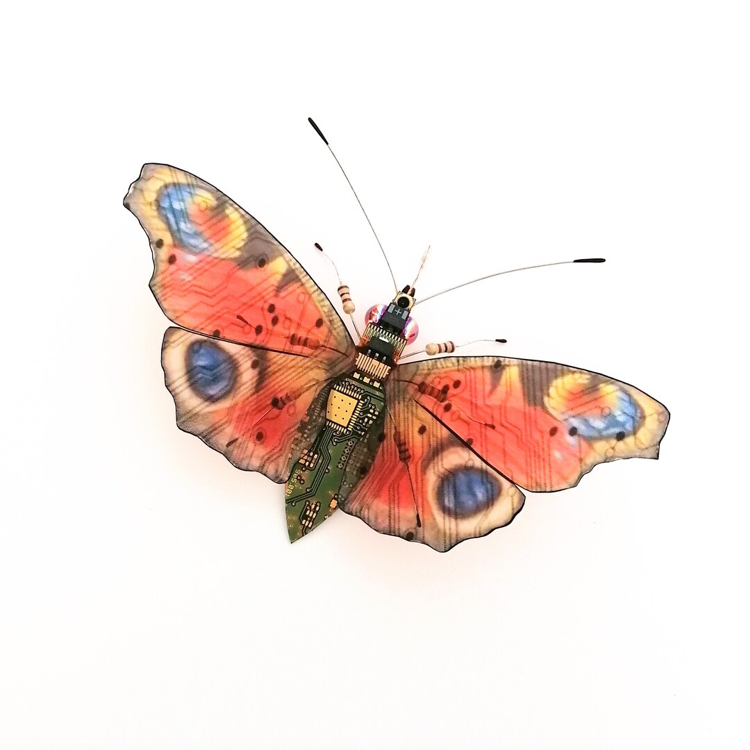 The Peacock Butterfly, Circuit Board Insect by Julie Alice Chappell - Etsy