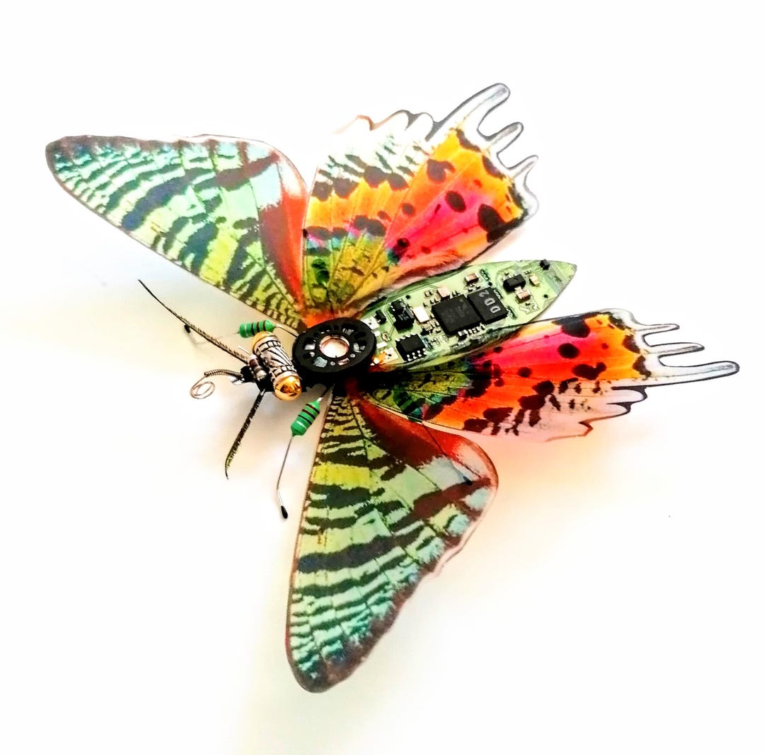 The Sunset Moth, Circuit Board Insect by Julie Alice Chappell - Etsy