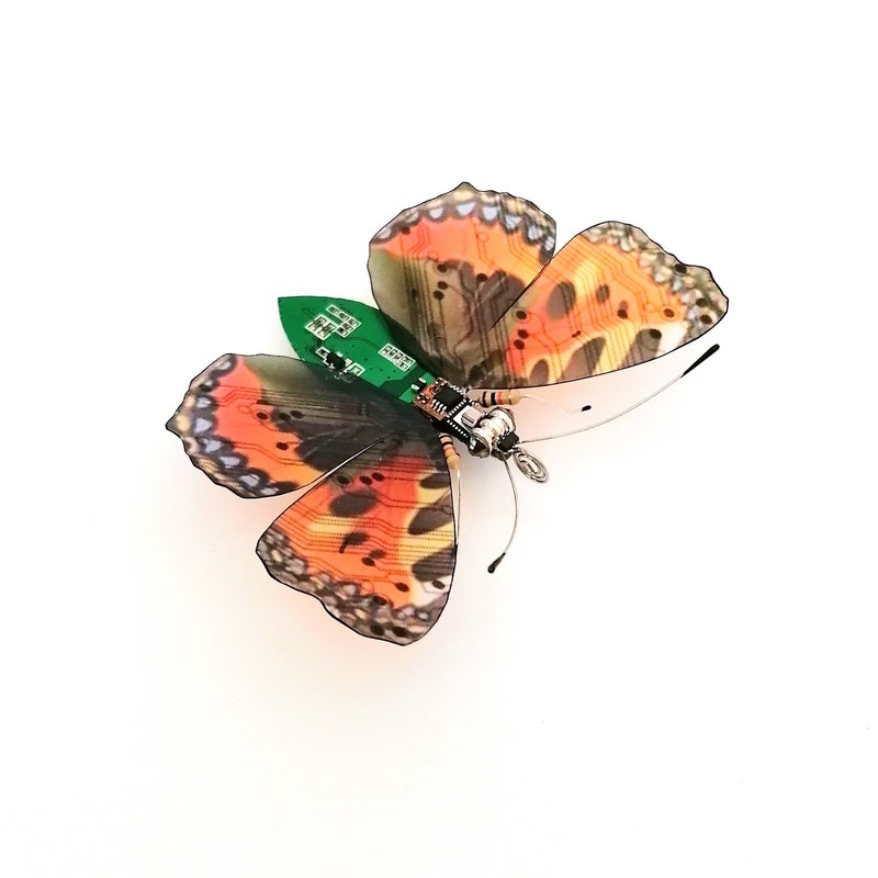 Butterfly Models Uk - Etsy