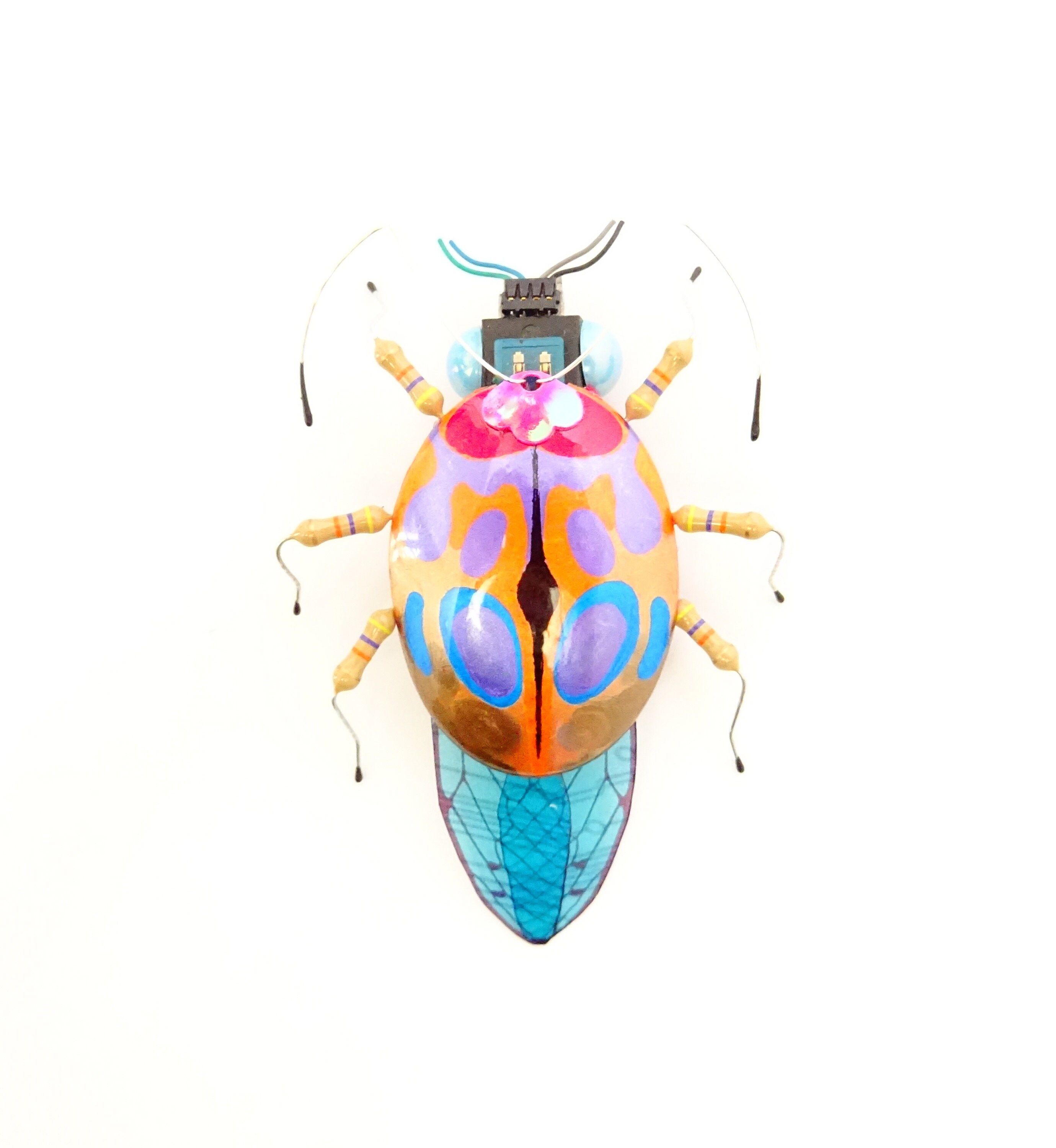 Art & Collectibles Art Objects The Vibrant Easter Beetle Hand Painted ...