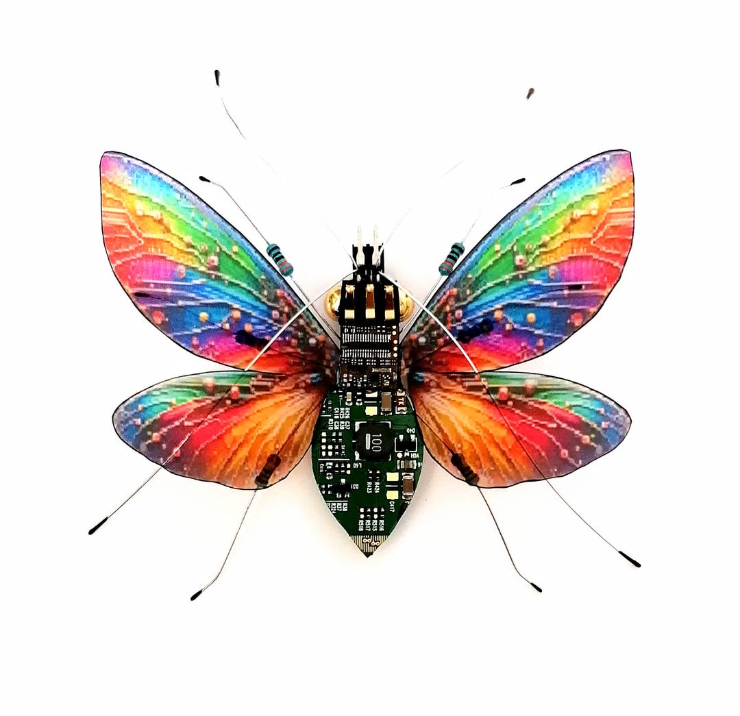 The Rainbow Flitter Fly, Fantasy Circuit Board Insect by Julie Alice ...
