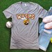 Wasps Baseball Team SVG PNG, Sports Sublimation Print (digital) - Etsy