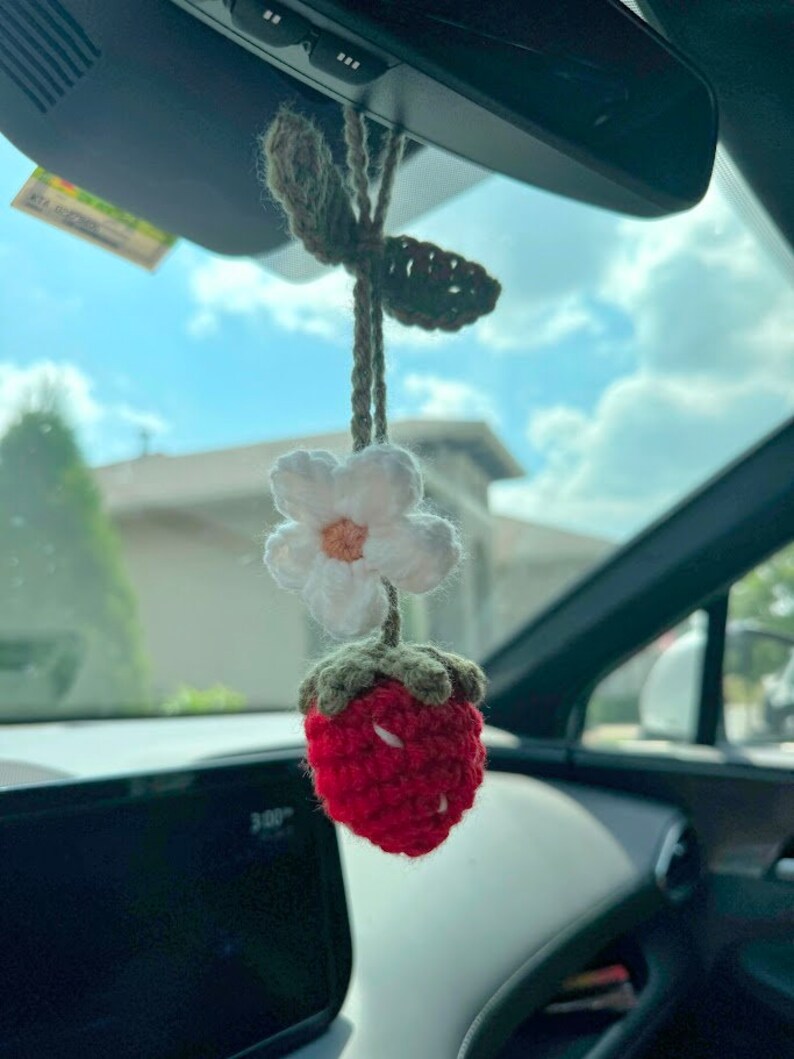 Adjustable Crochet Fruit Car Hanging, Hanging Plant, Cute Flower Car ...