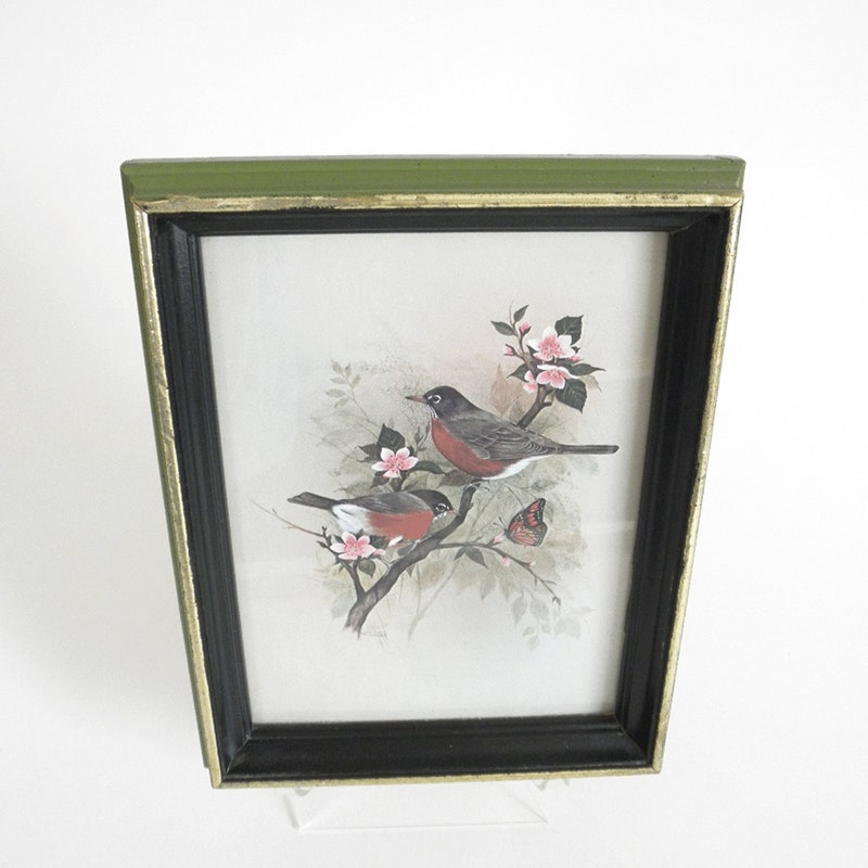 Framed Robin Bird Print - Etsy