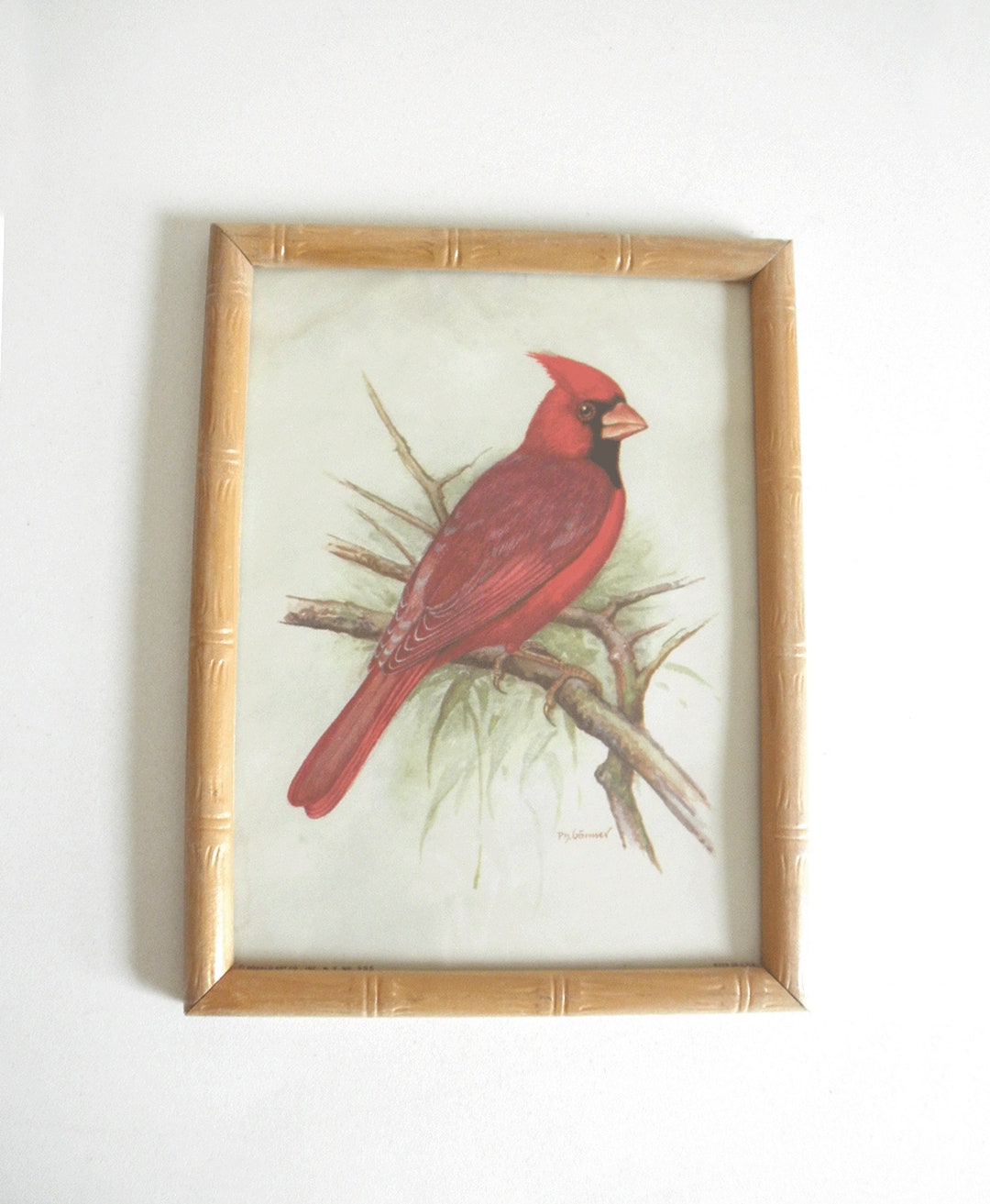 Vintage Cardinal Bird Print: Signed Ph Gonner, Bamboo Frame (6" X 8") - Etsy