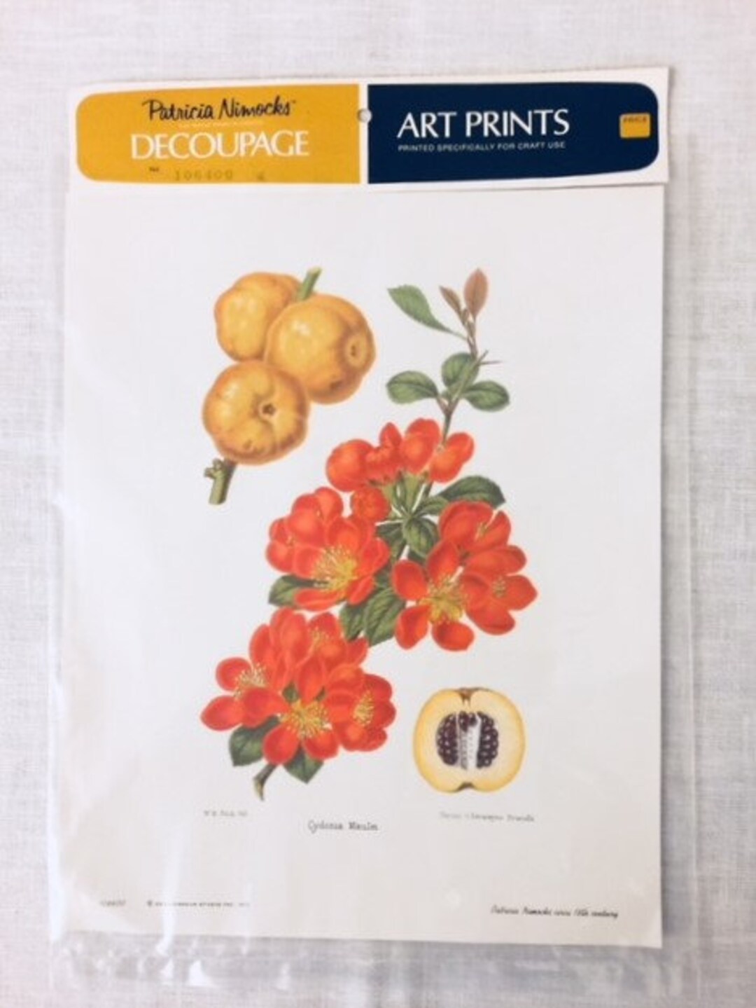 Vintage Botanical Print 18th Century Image of Fruit Blossom - Etsy