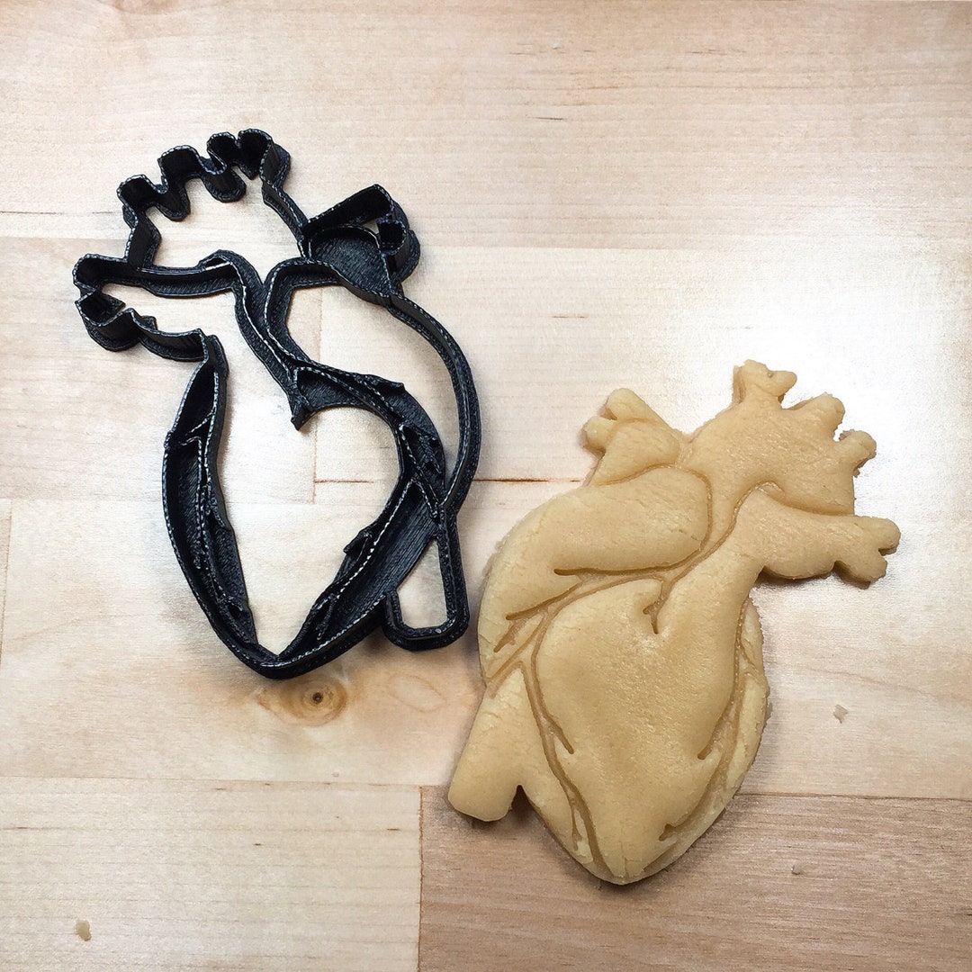 3D Printed Anatomical Human Heart Cookie Cutter - Etsy