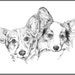 8x10 Black and White Custom Pet Portrait, Original Ink Drawing Dog Cat ...