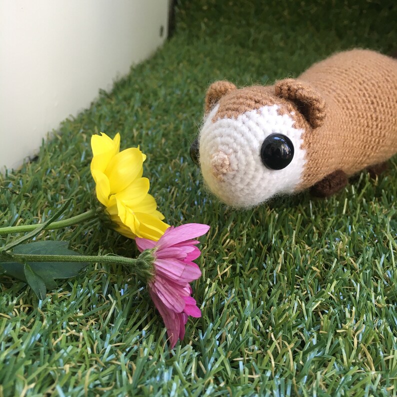 Patrón de amigurumi: hurón de ganchillo achuchable. Patrón de - Etsy España