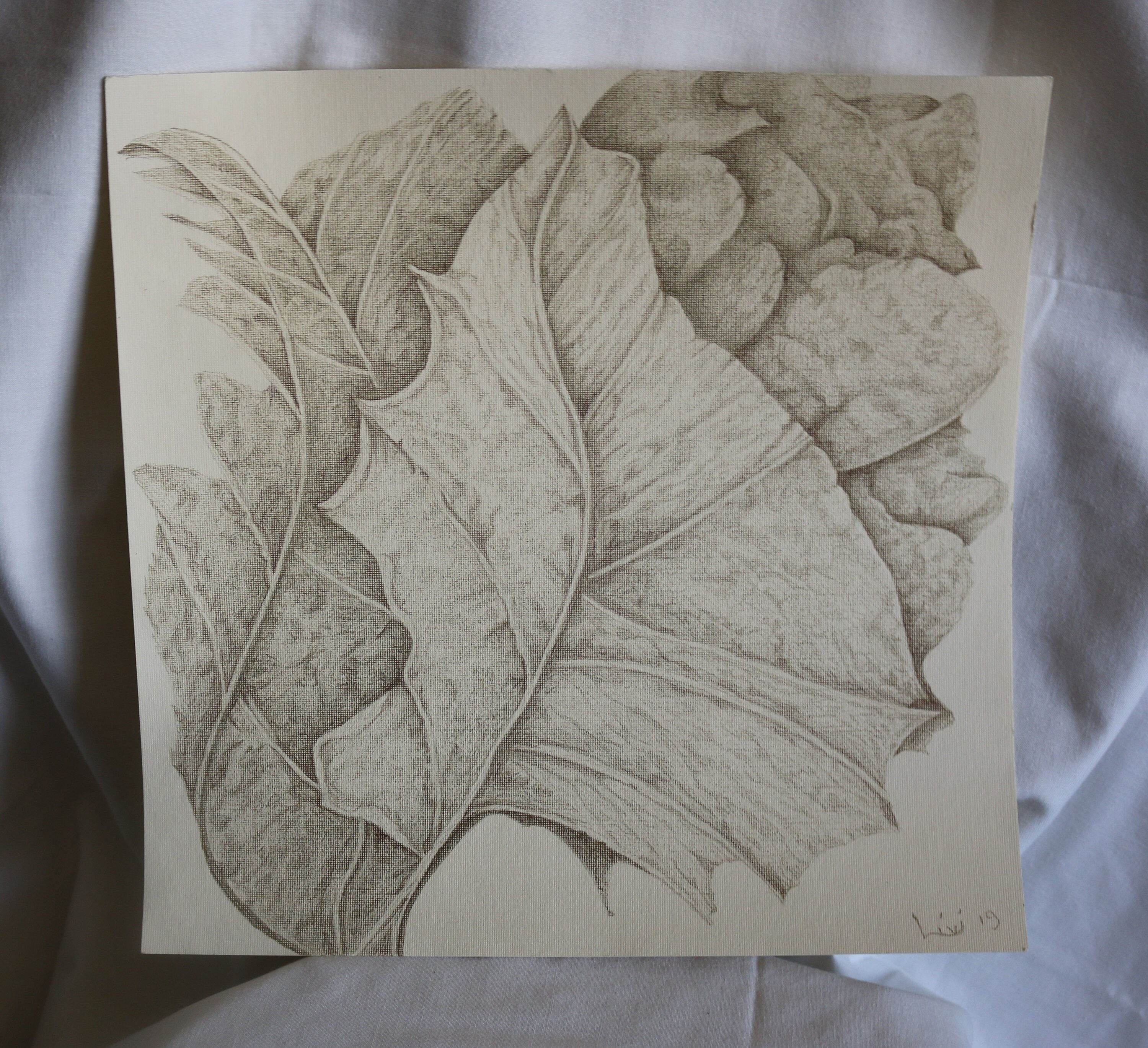 Small Colored Pencil Drawing, Leaf Drawing on Ivory Paper - Etsy