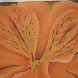 Small Colored Pencil Drawing, Orange Lily Flower Shape on Rust Colored ...