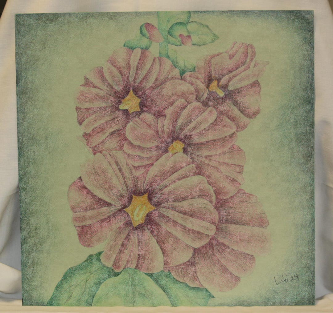 Small Colored Pencil Drawing, Pink Flower on Green Paper - Etsy