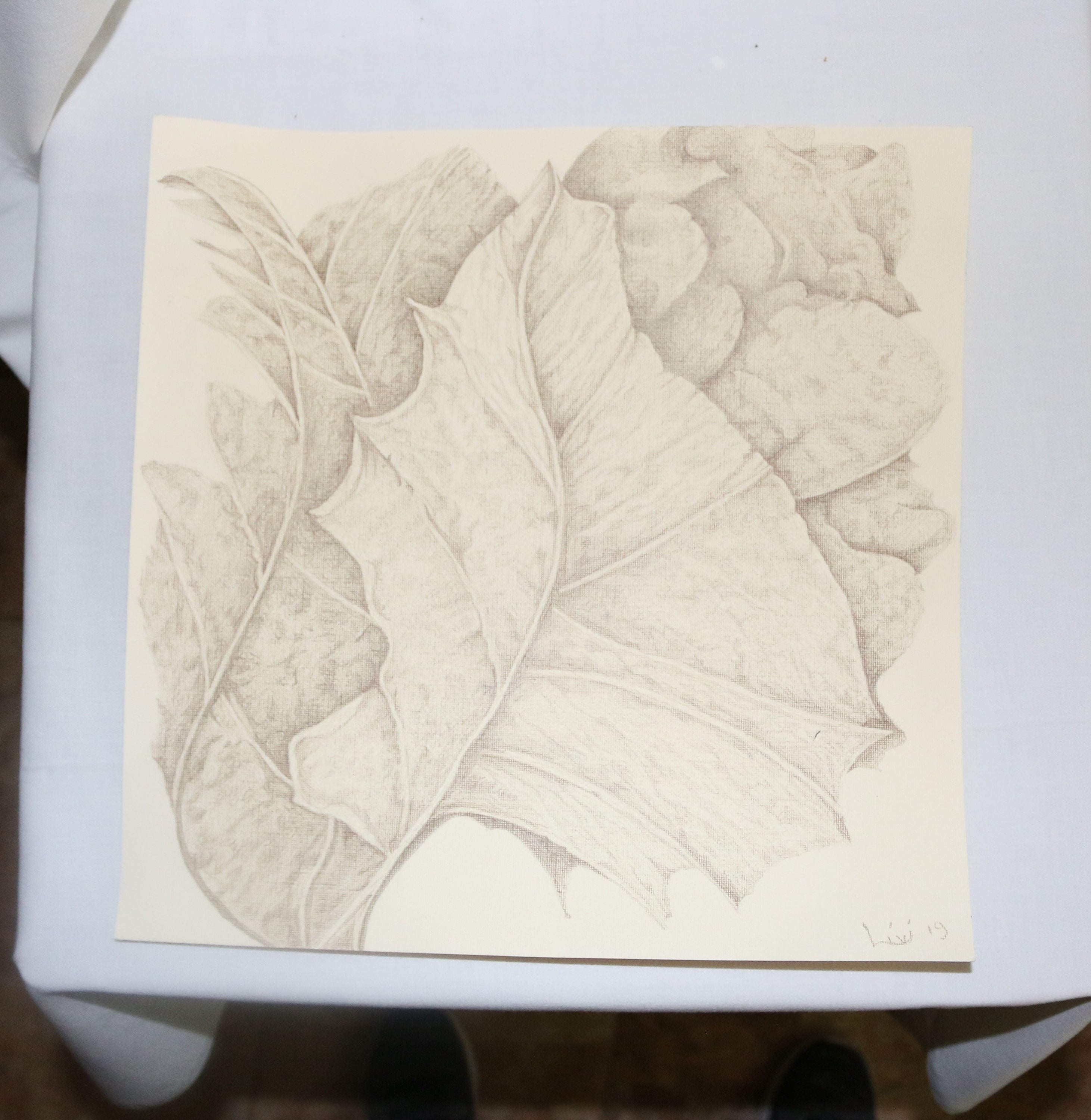 Small Colored Pencil Drawing, Leaf Drawing on Ivory Paper - Etsy