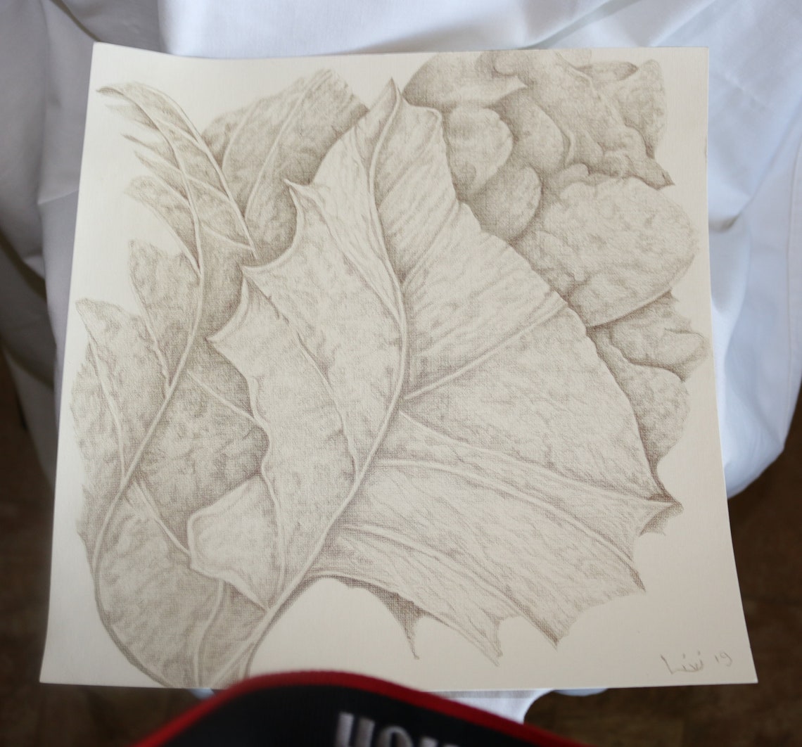 Small Colored Pencil Drawing, Leaf Drawing on Ivory Paper - Etsy